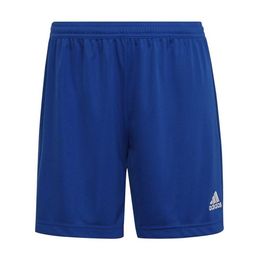 adidas Performance Sporthose Entrada 22 Short Damen