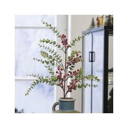 Zweig Frostbeeren