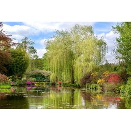 papermoon Fototapete "Monets Garten" Tapeten Gr. B/L: 5 m x 2,8 m, Bahnen: 10 St., bunt (mehrfarbig) Fototapeten