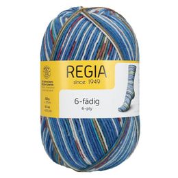 Regia Sockenwolle 6-fädig / 6-fach Color zum Stricken und Häkeln 150g Häkelwolle