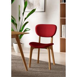 Stuhl Inosign "COZY" Stühle Gr. B/H/T: 50 cm x 88 cm x 62 cm, 2 St., Microfaser Veloursoptik, Massivholz, rot (bordeau x, buche) 4-Fuß-Stuhl Esszimmerstuhl Polsterstuhl Küchenstühle
