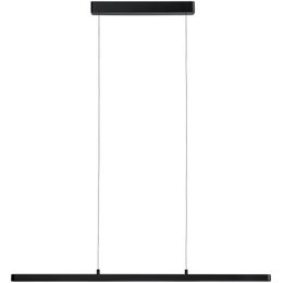 LED Pendelleuchte Paulmann "Lento" Lampen Gr. Höhe: 2,5 cm, schwarz Pendelleuchten und Hängeleuchten