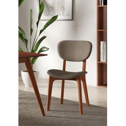 Stuhl Inosign "COZY" Stühle Gr. B/H/T: 50 cm x 88 cm x 62 cm, 2 St., Microfaser Veloursoptik, Massivholz, grau (elephant, kirsch) 4-Fuß-Stuhl Esszimmerstuhl Polsterstuhl Küchenstühle
