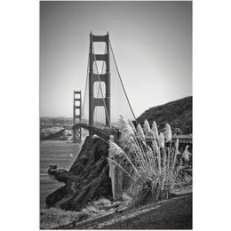 Wandbild Artland "San Francisco Golden Gate Bridge" Bilder Gr. B/H: 40 cm x 60 cm, Alu-Dibond-Druck Amerika, 1 St., schwarz Bild Kunstdruck Poster Bilder als Alubild, Leinwandbild, Wandaufkleber oder in versch. Größen