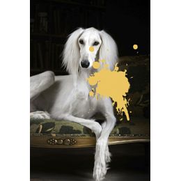 Acrylglasbild queence "Hund" Bilder Gr. B/H/T: 100 cm x 150 cm x 2,4 cm, gelb Acrylglasbilder