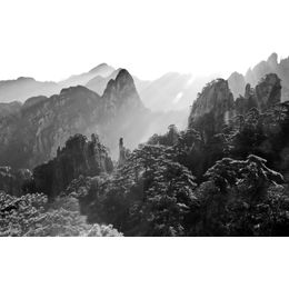 papermoon Fototapete "Landschaft Schwarz & Weiß" Tapeten Gr. B/L: 5,00 m x 2,80 m, Bahnen: 10 St., schwarz (schwarz, weiß) Fototapeten