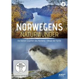 Norwegens Naturwunder: Die kleinen Giganten des Nordens / Magie der Fjorde (DVD)