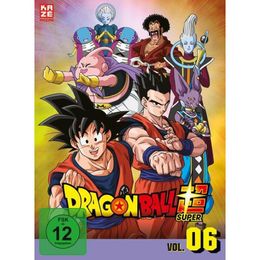 KAZE Dragonball Super  5. Arc: Universum-Turnier  Box 6 - Epi. 77-95 (DVD)