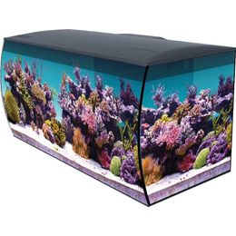 Fluval Aquarium FLEX MARINE, 123 l, BxTxH: 82x39x40 cm, schwarz