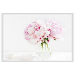 queence Bild Carina, Blumen, gerahmt, Rosen, rosa