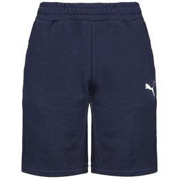 Puma Sportshorts 'Team Goal 23' Herren Größe L navy / weiß