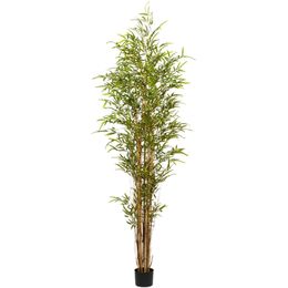Kunstbaum Creativ green "Bambus" Kunstpflanzen Gr. H: 210 cm, 1 St., grün Kunst-Bäume