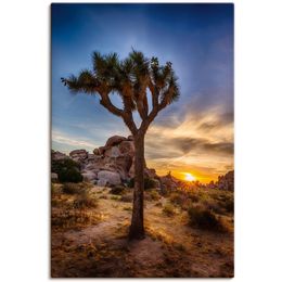 Wandbild Artland "Sonnenuntergang Joshua Tree NationalPark" Bilder Gr. B/H: 60 cm x 90 cm, Leinwandbild Bilder vom Sonnenuntergang & -aufgang Hochformat, 1 St., braun Kunstdrucke