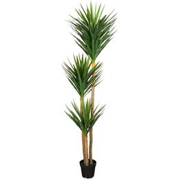 Künstliche Zimmerpflanze Creativ green "Yucca" Kunstpflanzen Gr. H: 250 cm, 1 St., grün Künstliche Zimmerpflanzen