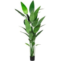 Künstliche Zimmerpflanze Creativ green "Wassercanna" Kunstpflanzen Gr. H: 210 cm, 1 St., grün Künstliche Zimmerpflanzen