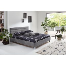 Polsterbett, grau (anthrazit), B:190cm L:210cm, Bezug: Microvelours (100% Polyester);Bonnell-Federkern-Matratzenbezug: 100% Polyester;Kaltschaum-Matratzenbezug: Frottee 100% Polyester, Bezug abnehm- und waschbar bis 60C, Westfalia Schlafkomfort, Betten, Polsterbett