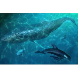papermoon Fototapete "Wal und Orcas" Tapeten Gr. B/L: 4,50 m x 2,80 m, Bahnen: 9 St., bunt Fototapeten