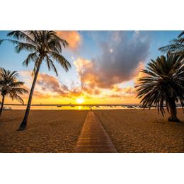 papermoon Fototapete "Santa Cruz Beach" Tapeten Gr. B/L: 5 m x 2,8 m, Bahnen: 10 St., bunt (mehrfarbig) Fototapeten