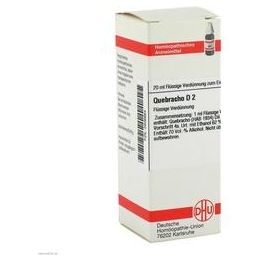 DHU-Arzneimittel Quebracho D 2 Dilution 20 ml