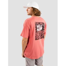 Nike SB Natural Borders T-Shirt adobe