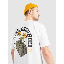 Vans Staying Grounded T-Shirt black