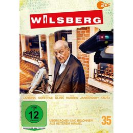 Wilsberg: Überwachen und belohnen / Aus heiterem Himmel (DVD)