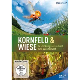 Kornfeld & Wiese - Entdeckungsreise durch eine Wunderwelt (DVD)
