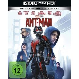 Ant-Man (4K Ultra HD)