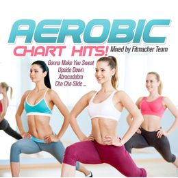 ZYX Music FITNESS & WORKOUT: AEROBIC CHART HITS - Fitness & Workout Mix. (CD)