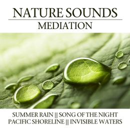 ZYX Music NATURE SOUNDS MEDITATION - Various. (CD)