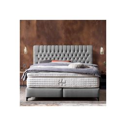 BettCo Boxspringbett Chester (in Grau Velours