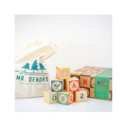 Mr. Dendro Spielbauklötze Lern Holzblöcke mit Buchstaben