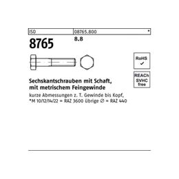 Reyher Sechskantschraube 100er Pack Sechskantschraube ISO 8765 Schaft M16x1