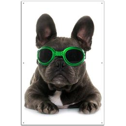 Wallario Sichtschutzzaunmatten Cooler Hund mit Sonnenbrille in grün