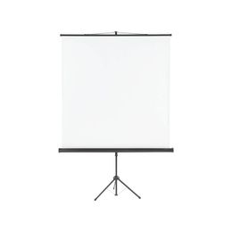 Franken X-tra! Line Stativleinwand (Format 1:1 (150x150 cm)