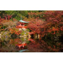 papermoon Fototapete "japanischer Garten" Tapeten Gr. B/L: 4,50 m x 2,80 m, Bahnen: 9 St., bunt Fototapeten
