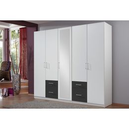 Kleiderschrank wimex "Freiburg" Schränke Gr. B/H/T: 225 cm x 210 cm x 58 cm, 5 St., weiß (weiß, graphit) Kleiderschrank Drehtürenschrank Drehtürenschränke Schränke