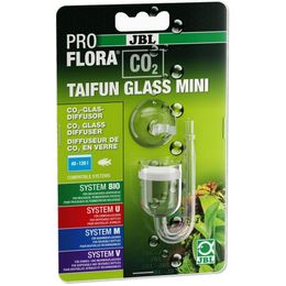 JBL GmbH & Co. KG Aquariendeko ProFlora CO2 Taifun Glass Diffusor Mini