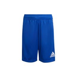 adidas Sportswear Funktionsshorts B HEATHER SHORT BLACK