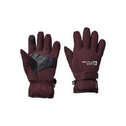 Jack Wolfskin Skihandschuhe »2L WINTER GLOVE K« boysenberry 128 80 g TEXATHERM-Füllung