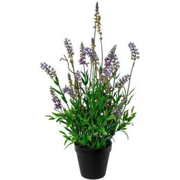 Kunstblume Lavendel im Topf Lavendel, Creativ green, Höhe 48 cm, lila