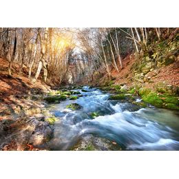 papermoon Fototapete "Fluss durch Wald" Tapeten Gr. B/L: 4,50 m x 2,80 m, Bahnen: 9 St., bunt Fototapeten