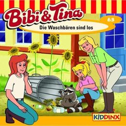 Bibi & Tina - 63 - Die Waschbären sind los - Bibi & Tina, Bibi und Tina (Hörbuch)