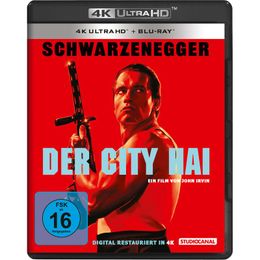 Studiocanal Der City Hai (4K Ultra HD)