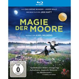 Polyband Magie der Moore (Blu-ray)