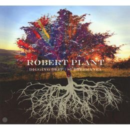 Rhino Digging Deep:Subterranea - Robert Plant. (CD)