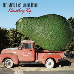 Something Big - The Mick Fleetwood Band. (CD)