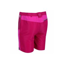 Regatta Outdoorhose Sorcer Mountain Shorts