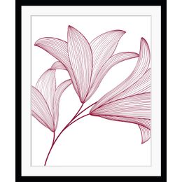 Bild queence "Imsa" Bilder Gr. B/H: 30 cm x 40 cm, Wandbild Blumen Hochformat, rosa (schwarz) Kunstdrucke gerahmt, Blumen