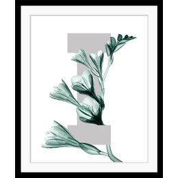 Bild queence "I-Flower" Bilder Gr. B/H: 50 cm x 70 cm, Wandbild Buchstaben Hochformat, grün (grau, dunkelgrün) Kunstdrucke Blume, gerahmt, Blätter